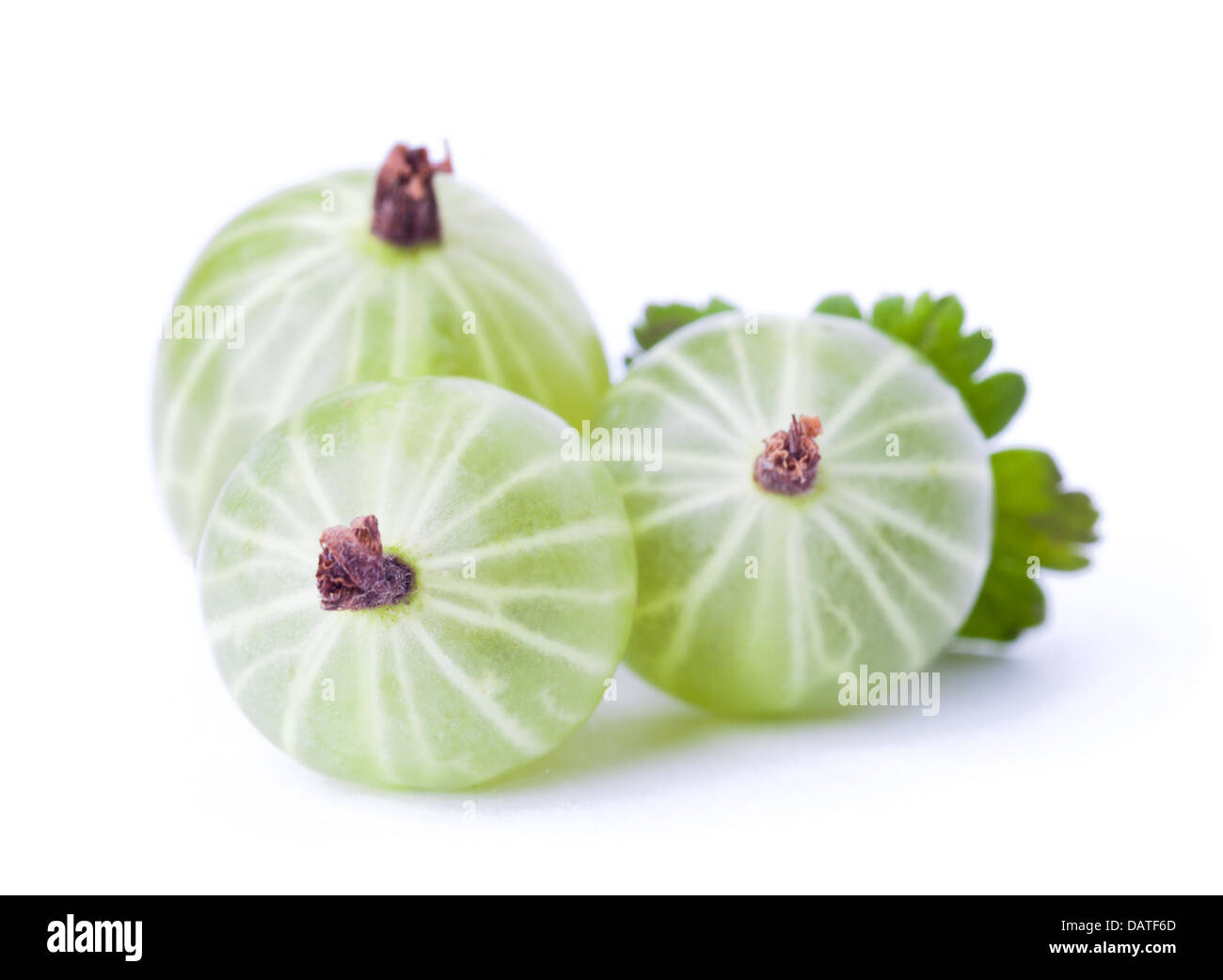 Fruit gooseberry hi-res stock photography and images - Alamy