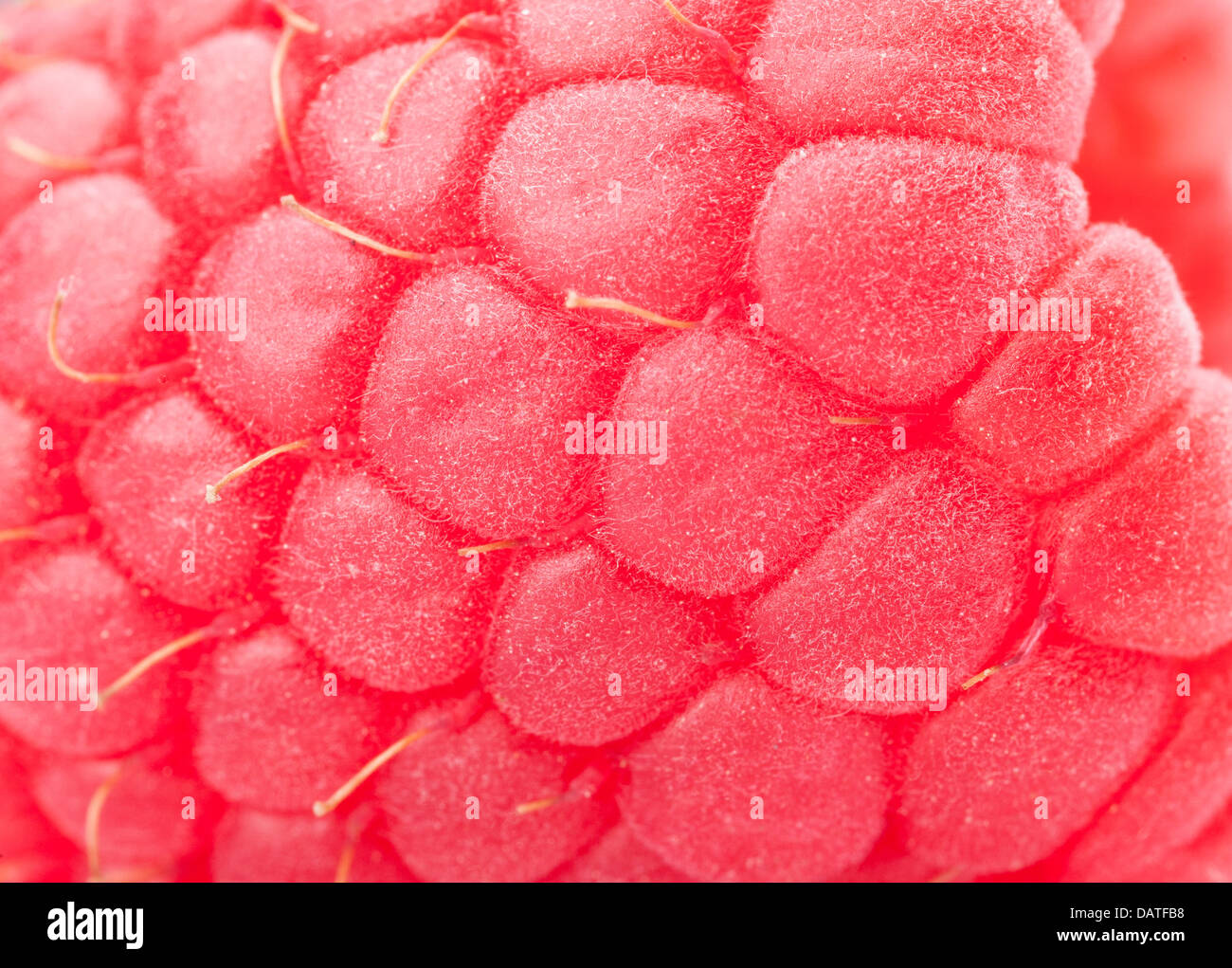 Raspberry jam detail hi-res stock photography and images - Alamy