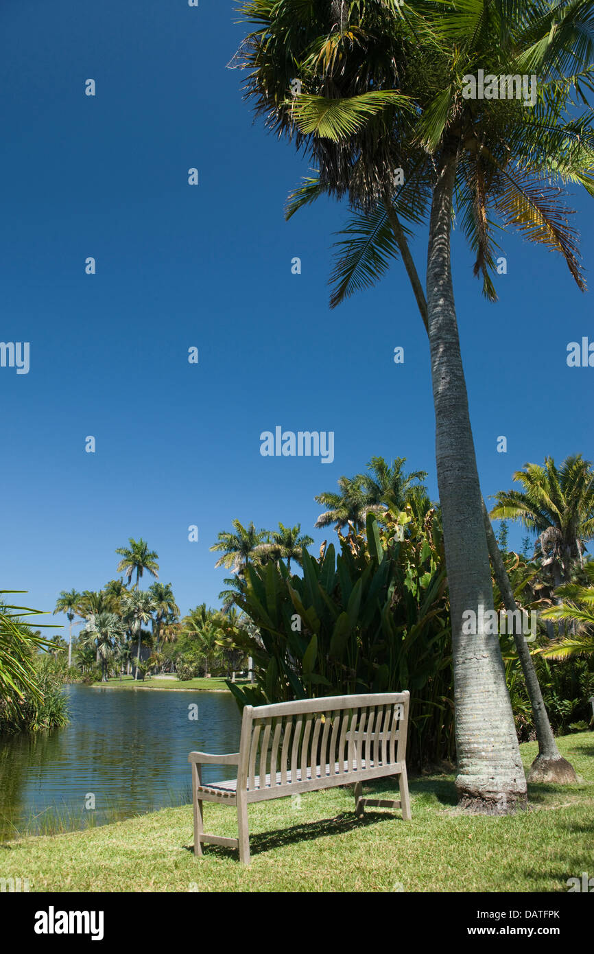 Pandanus hi-res stock photography and images - Alamy