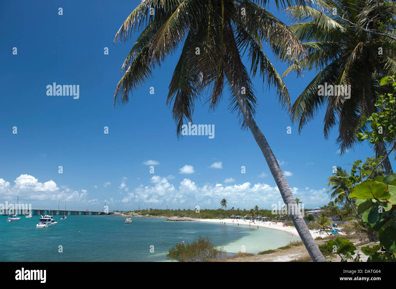 PALM TREES CALUSA BEACH BAHIA HONDA STATE PARK BAHIA HONDA KEY FLORIDA ...