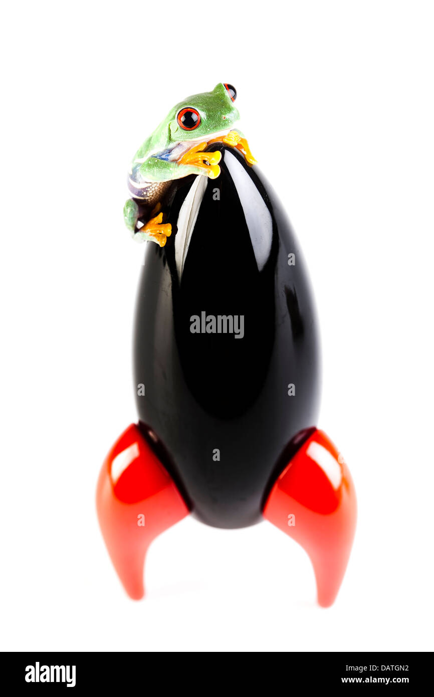 Rocket and frog Stock Photo - Alamy