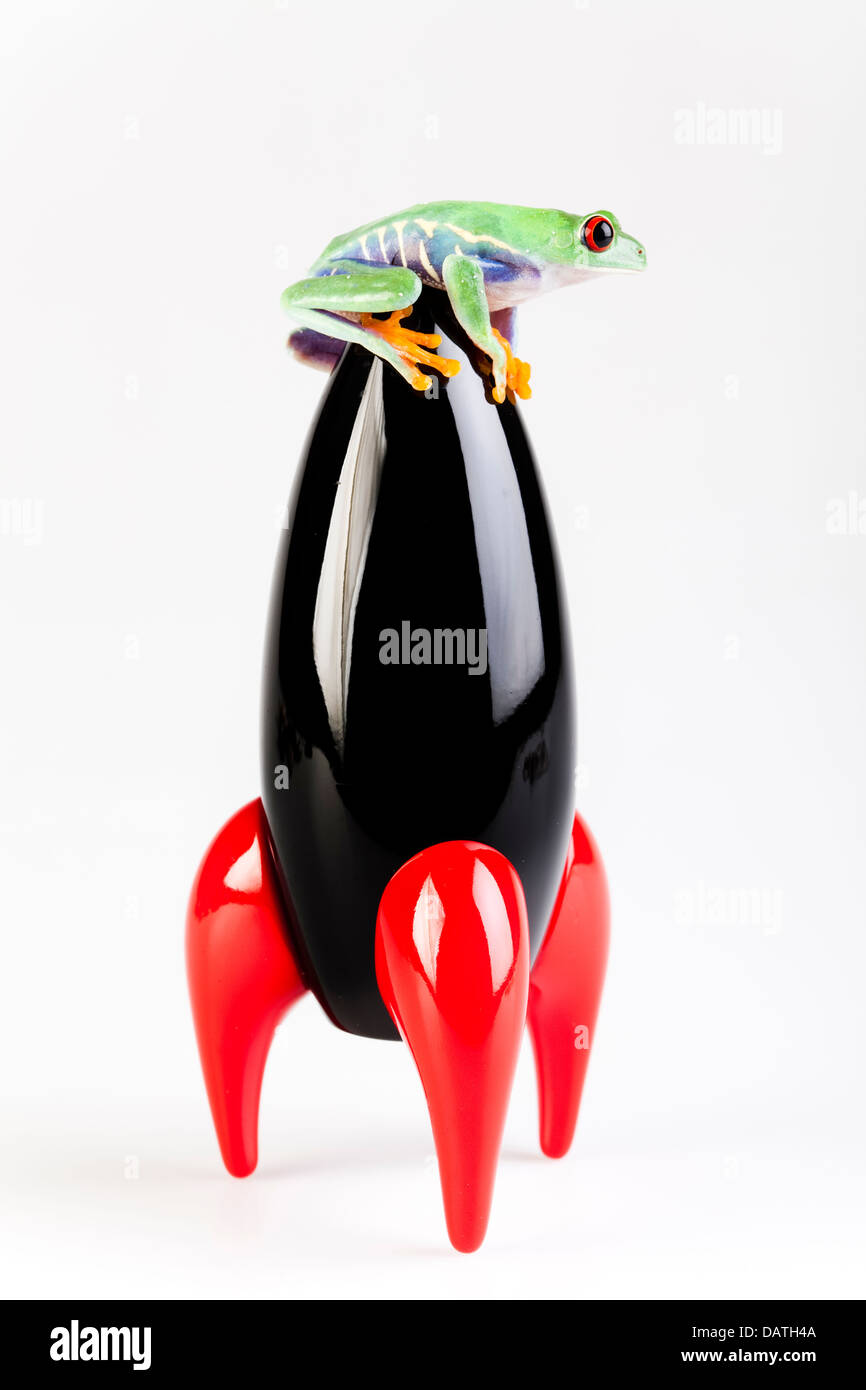 Rocket frog hi-res stock photography and images - Alamy