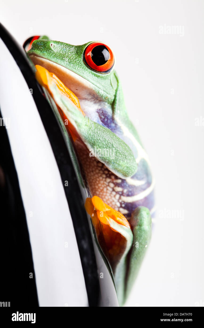 Small spaceship hi-res stock photography and images - Alamy