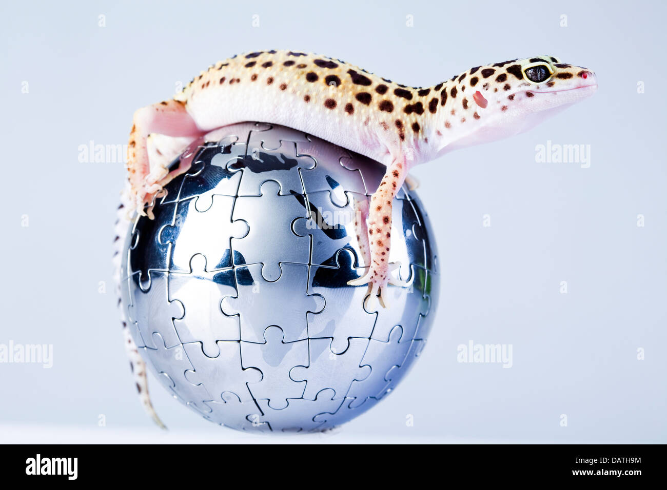 Globe in gecko Stock Photo - Alamy