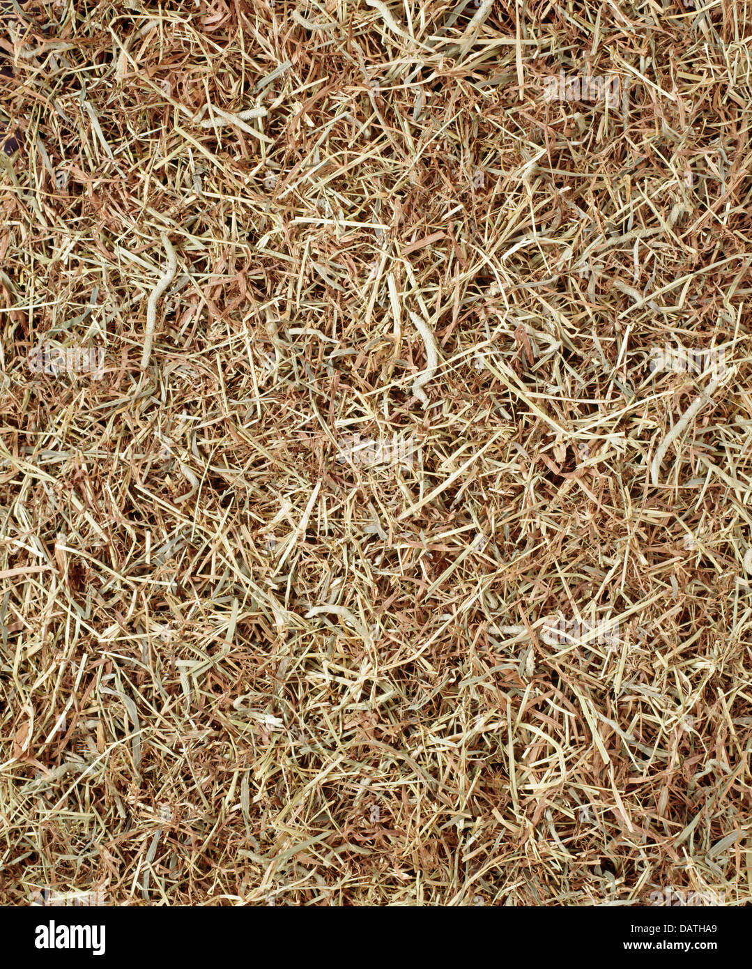 Straw or hay background Stock Photo - Alamy