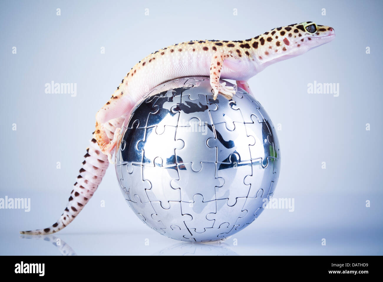 Globe in gecko Stock Photo - Alamy