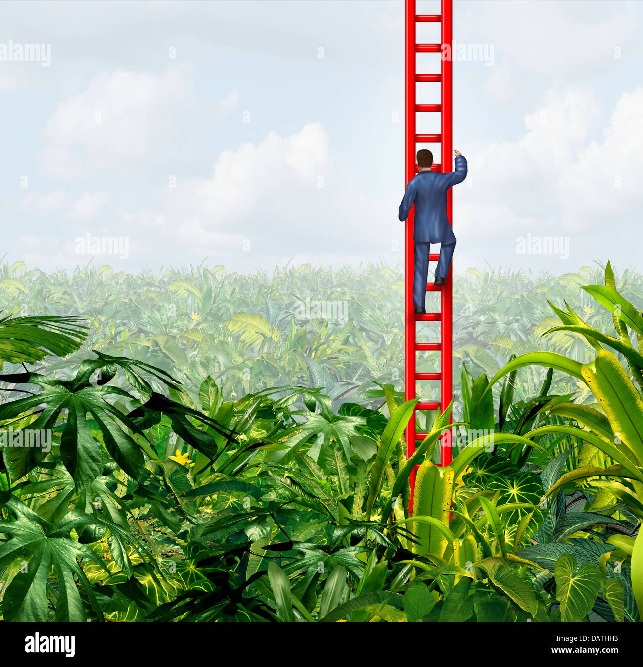 Breaking ladder hi-res stock photography and images - Alamy