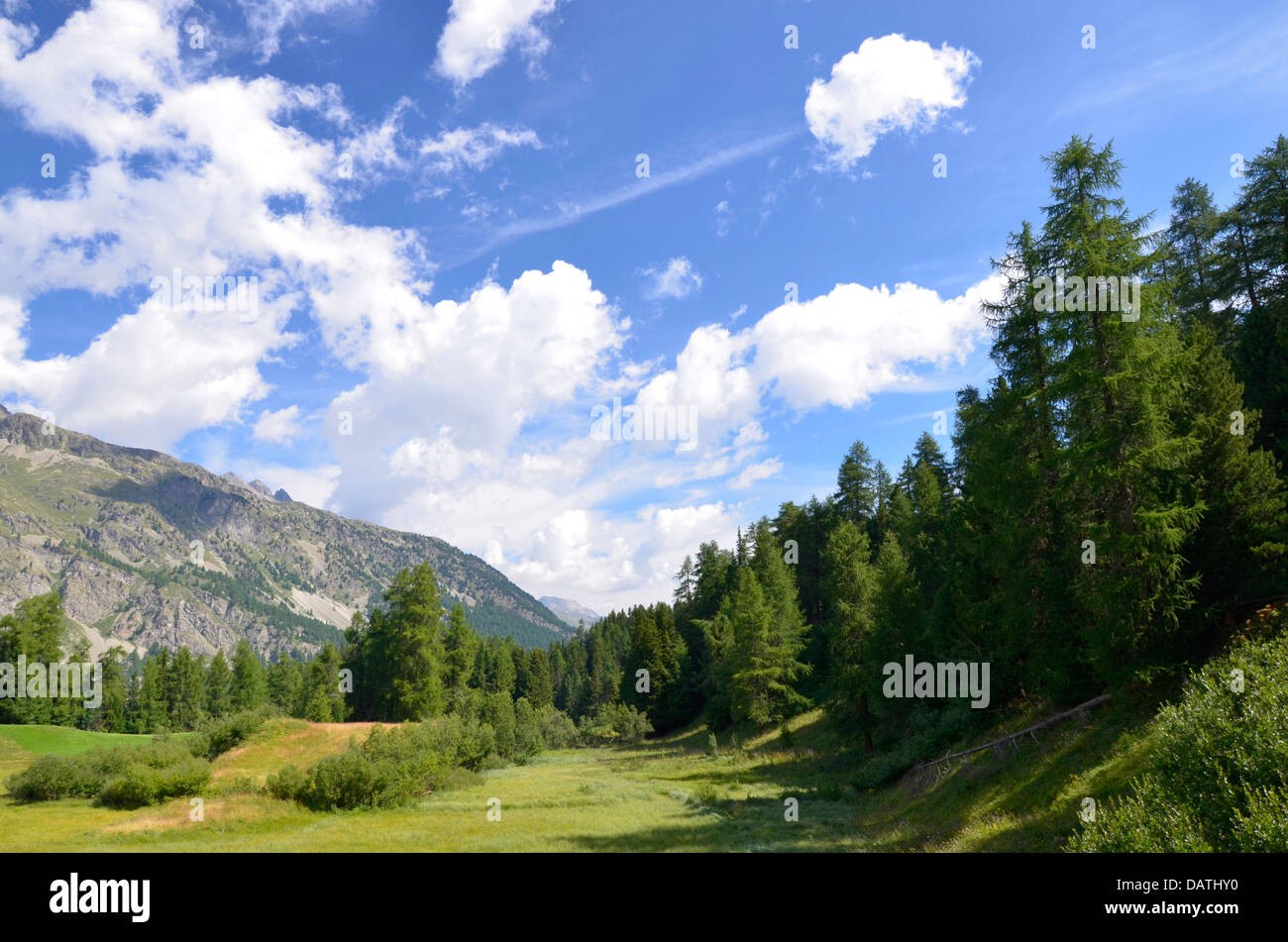Walking up the Fex Valley from Sils Maria, Engadine, Switzerland, gives ...