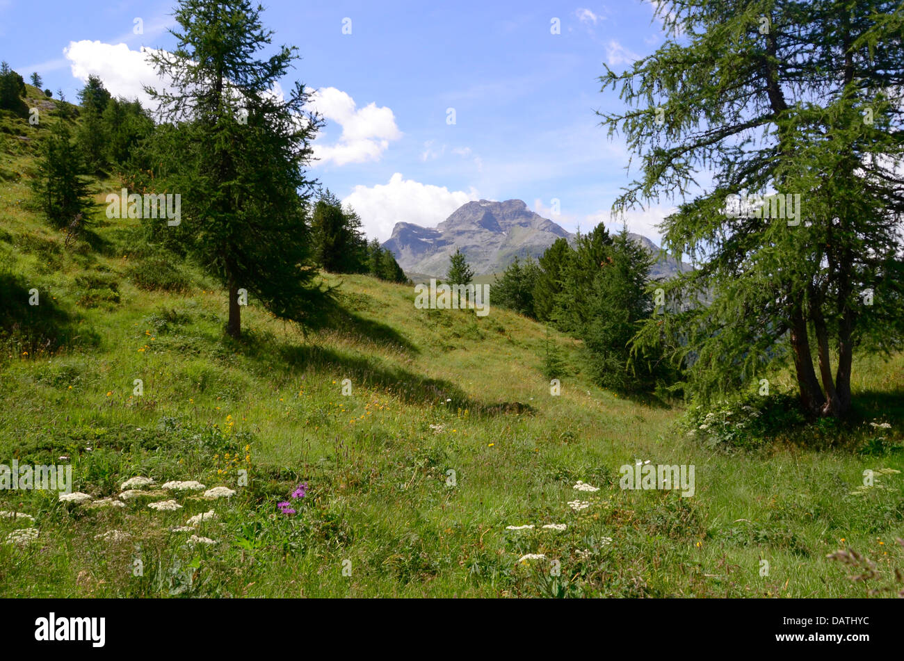 Walking tour from sils maria hi-res stock photography and images - Alamy