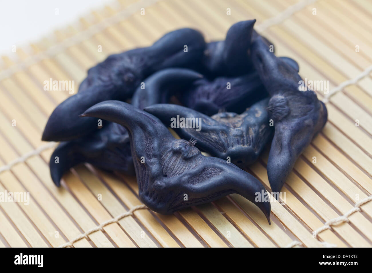 Caltrops hi-res stock photography and images - Alamy