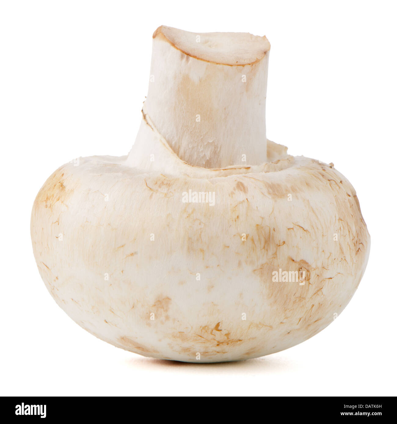 Champignon mushroom. Isolated on white background Stock Photo - Alamy