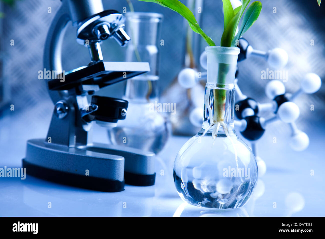 Floral in blue laboratory Stock Photo - Alamy