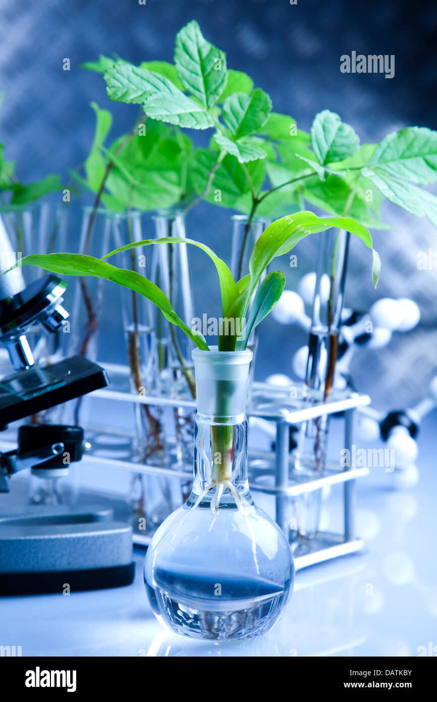 Plants and laboratory Stock Photo - Alamy