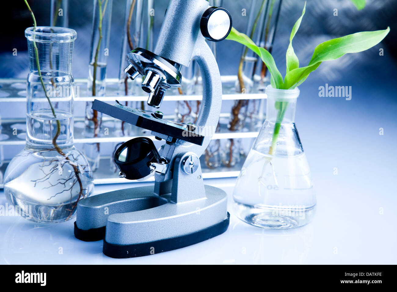 Ecology laboratory experiment Stock Photo - Alamy