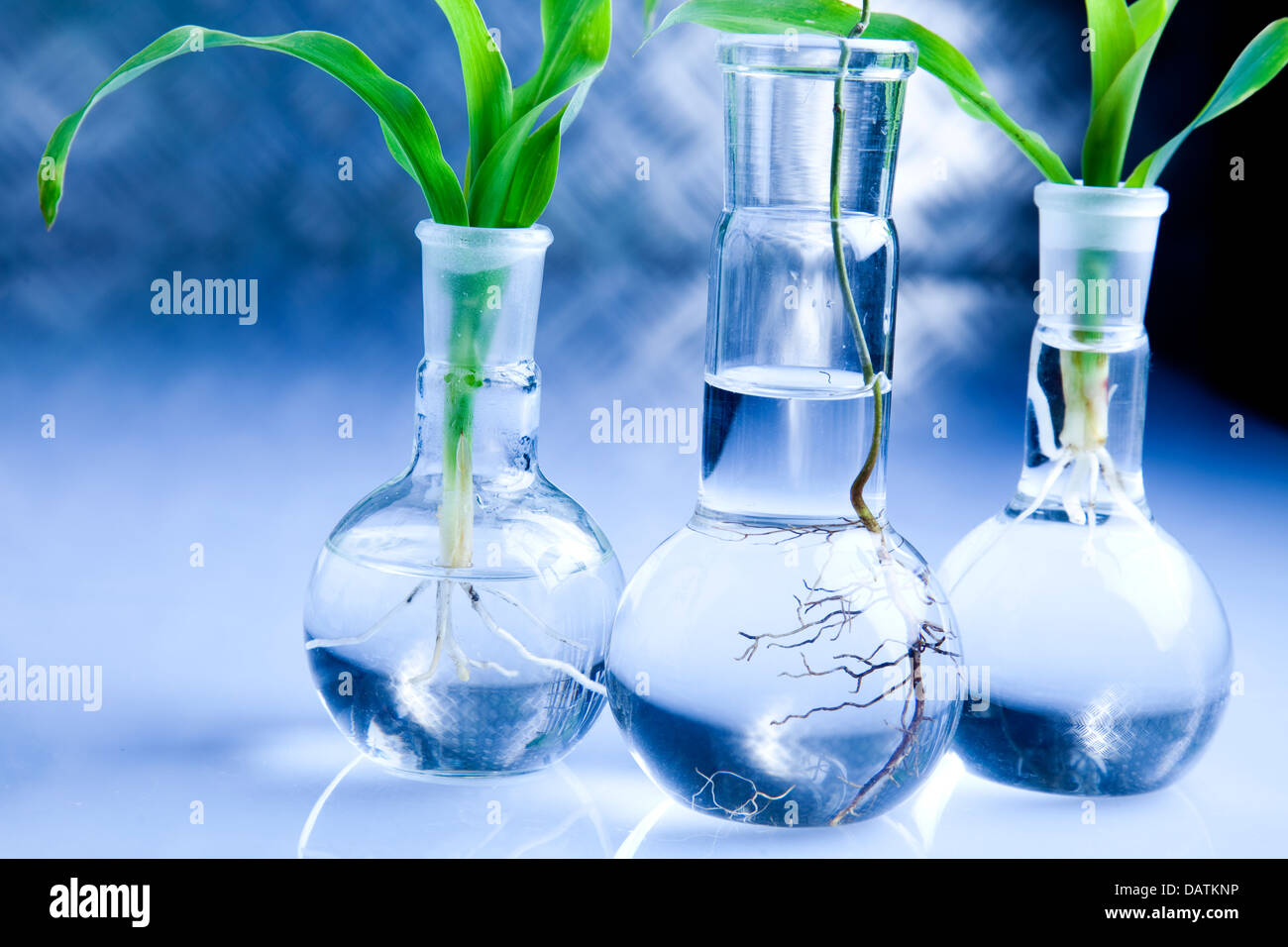 Plants and laboratory Stock Photo - Alamy