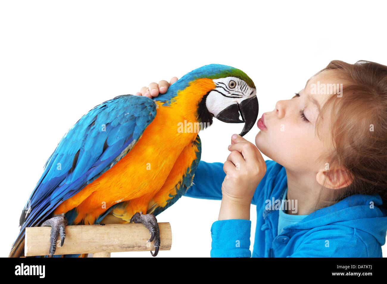 Child with ara parrot Stock Photo - Alamy