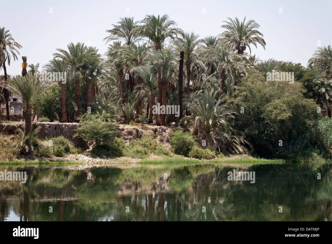 Palms river hi-res stock photography and images - Alamy