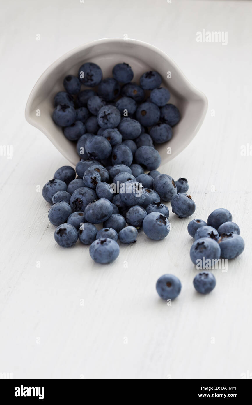 Fresh blueberries spilling out of a white ceramic container onto a ...