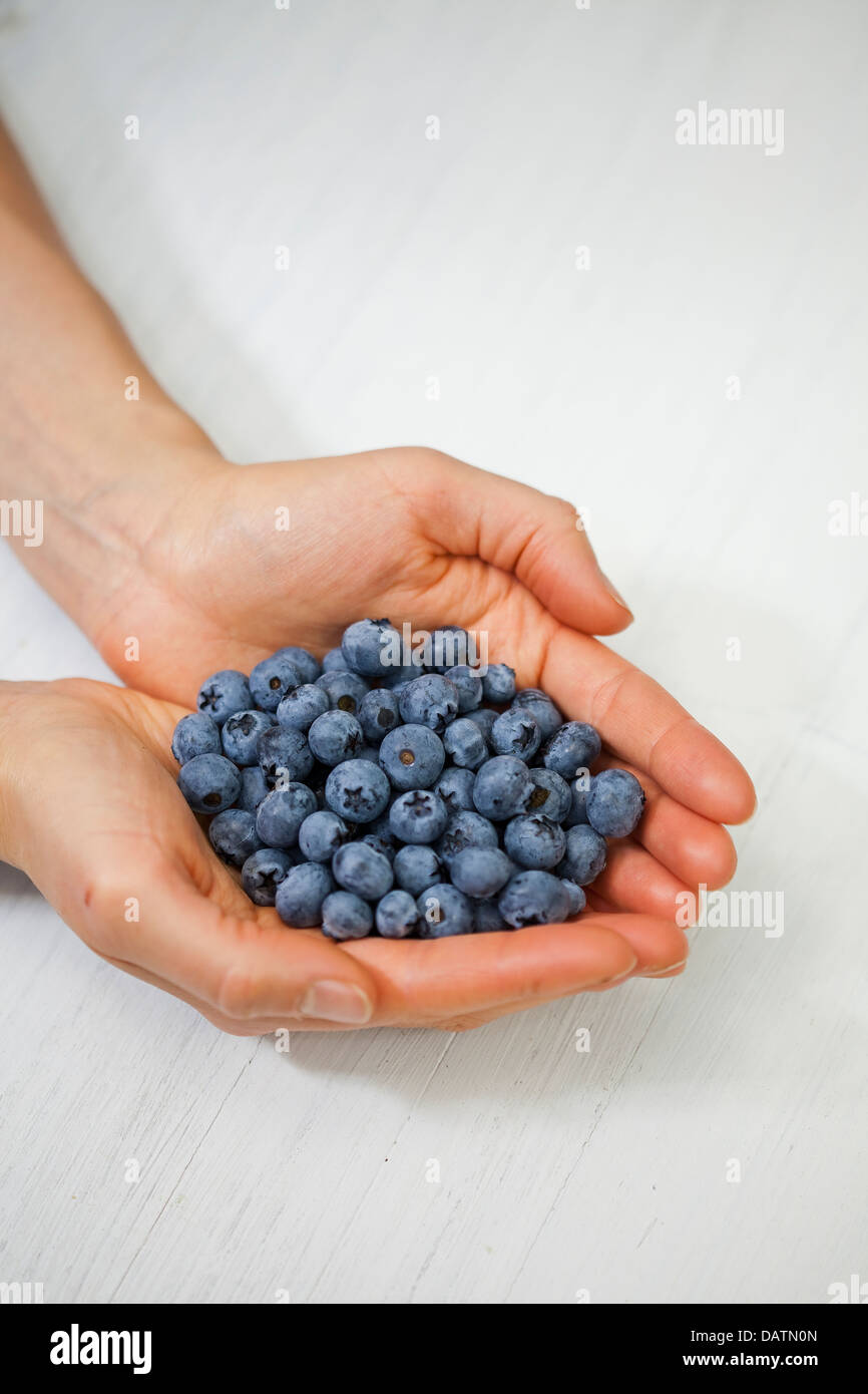 Two hands cupping a pile of fresh blueberries above a white painted ...