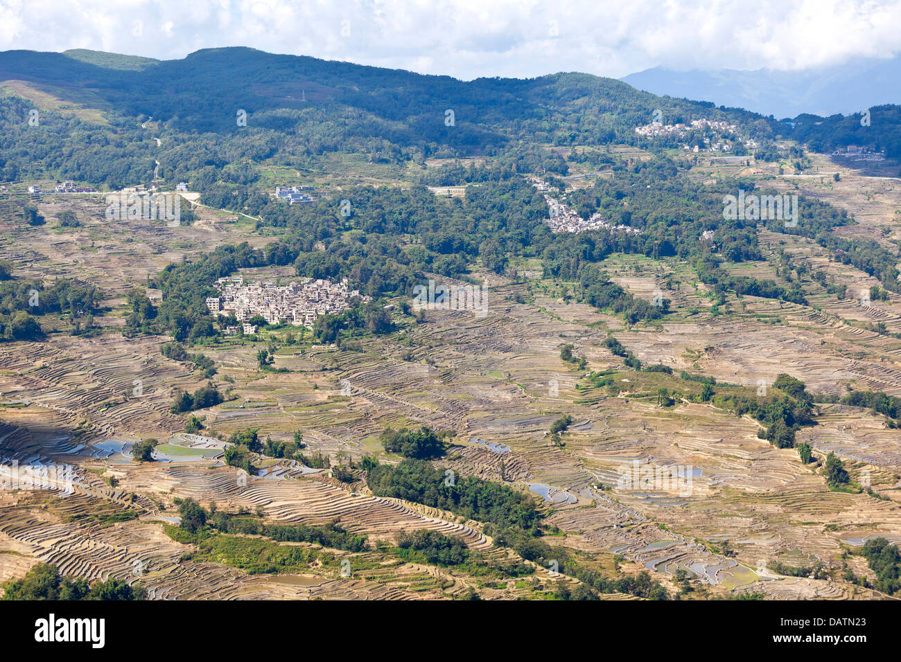 Rice terraces at day Stock Photo - Alamy