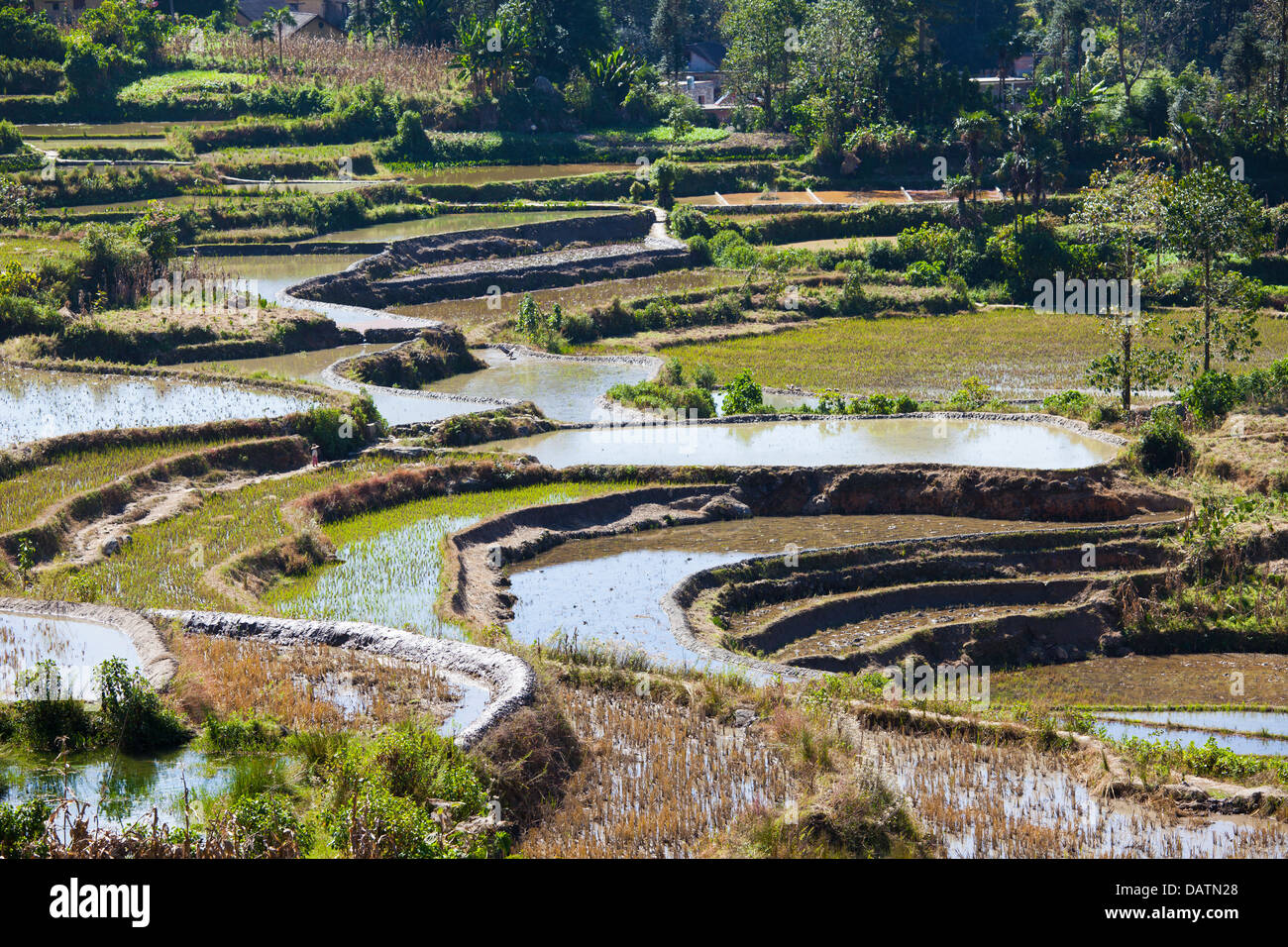 Asian chinese terrace hi-res stock photography and images - Alamy