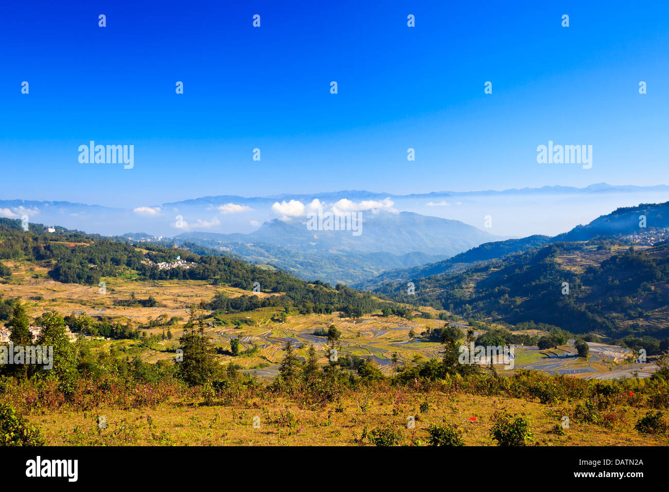 Autumn landscape at rice terraces Stock Photo - Alamy