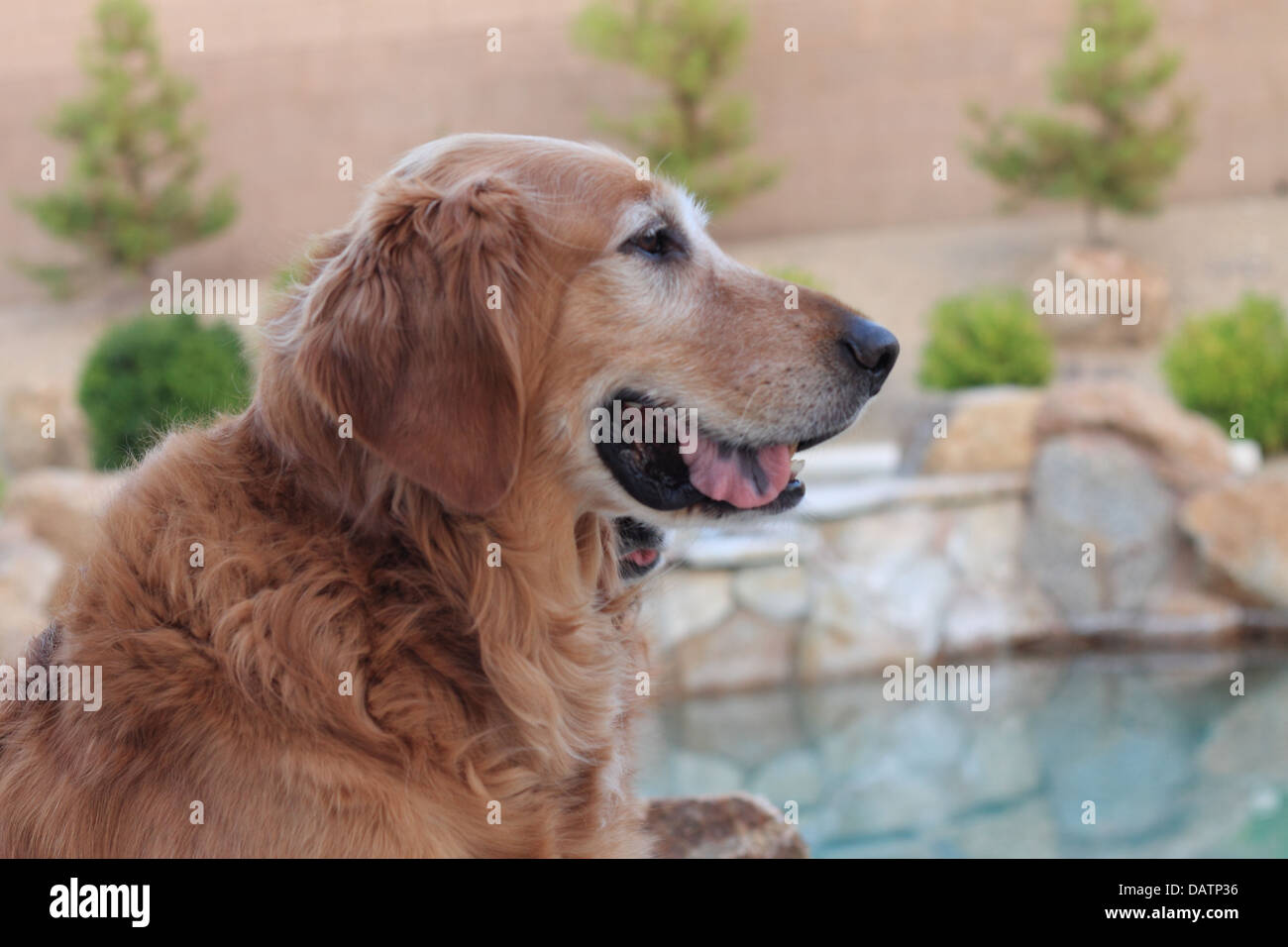 Birthmark hi-res stock photography and images - Alamy