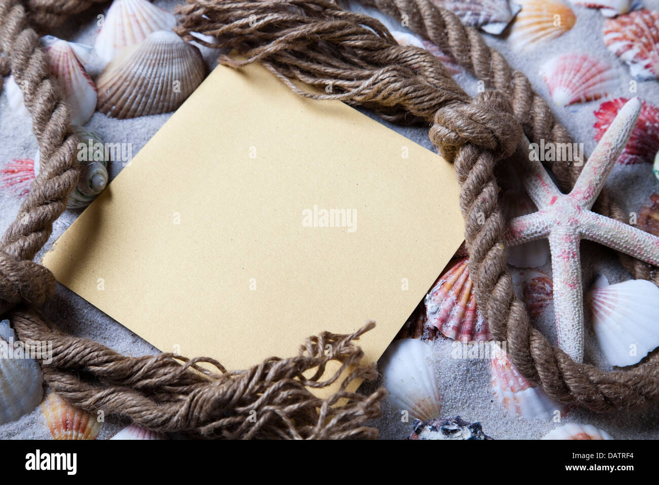 Shell, sand & sheet of paper Stock Photo - Alamy