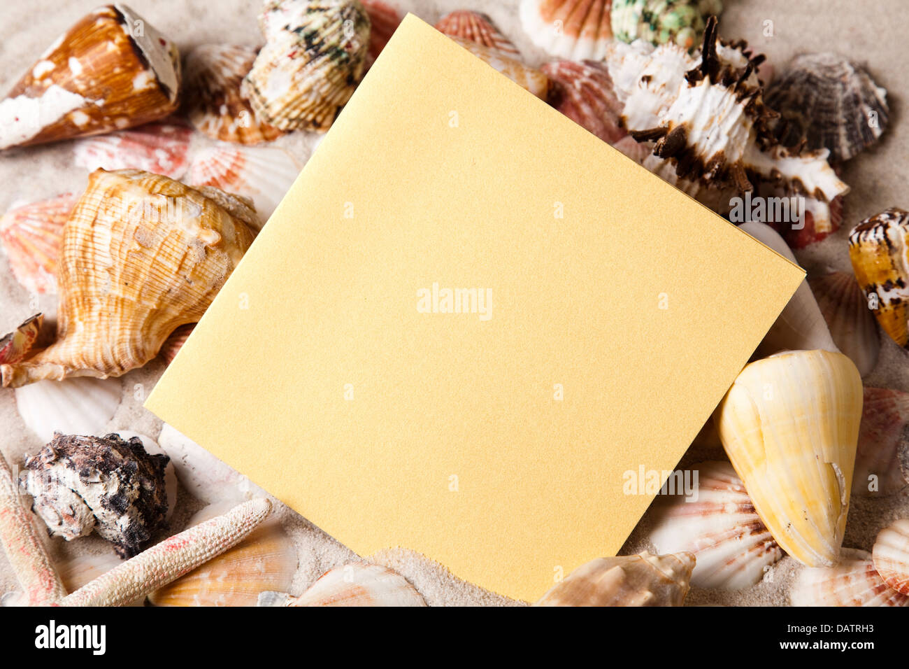 Messages between sands and shells Stock Photo - Alamy