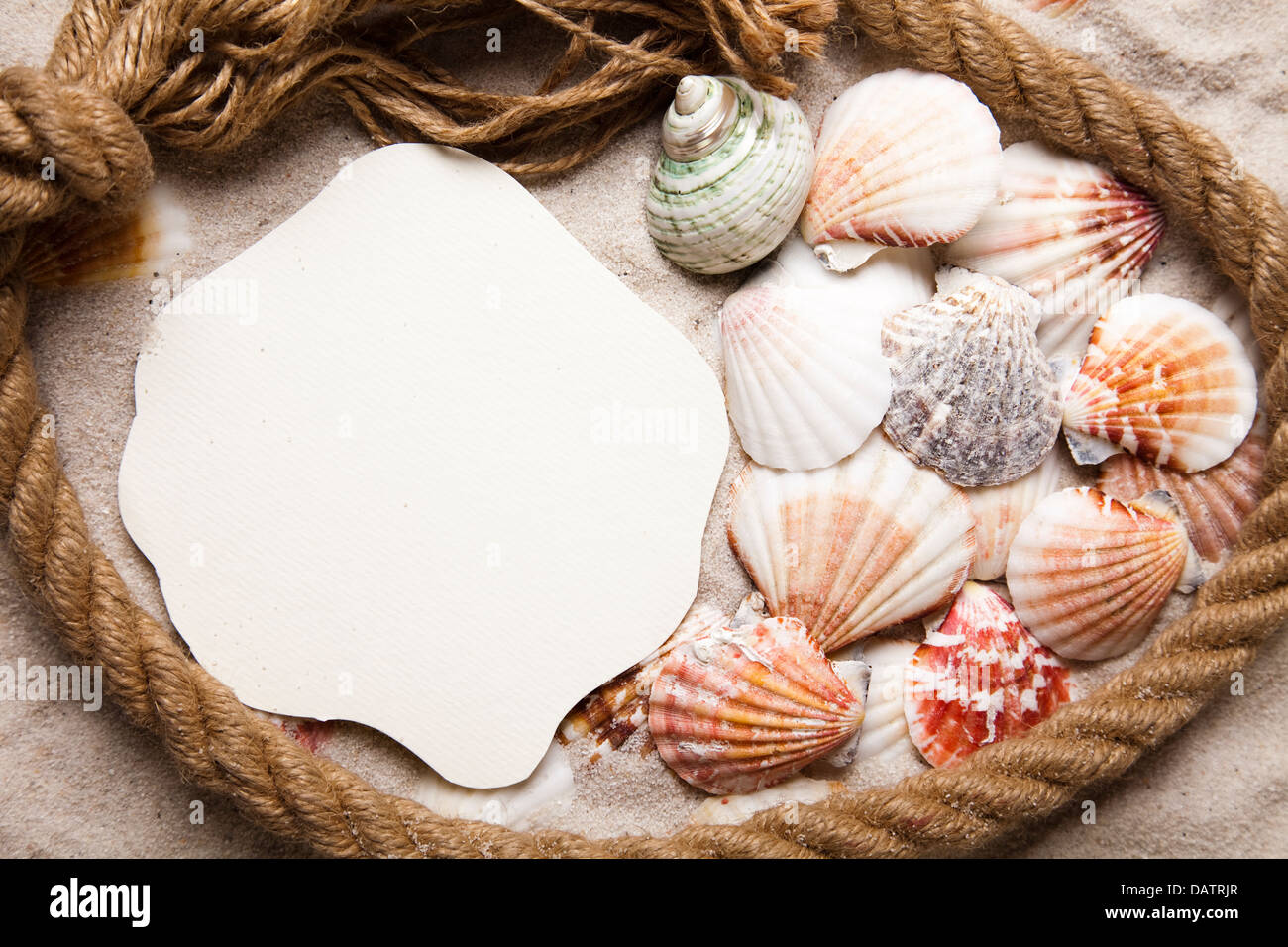 Messages between sands and shells Stock Photo - Alamy