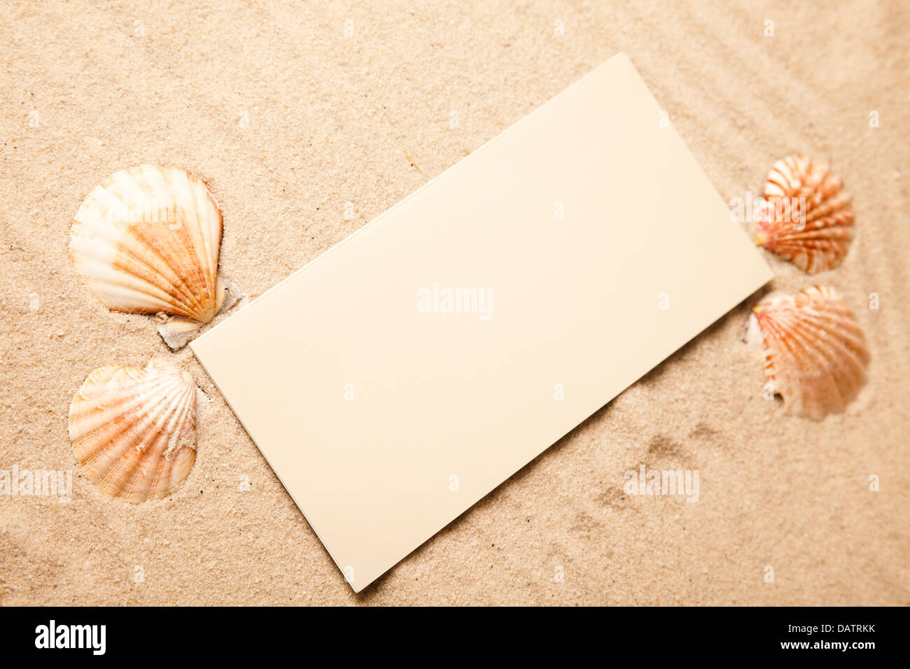 Paper background and shell Stock Photo - Alamy