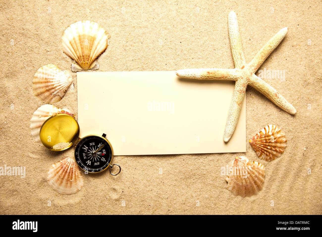 Paper background and shell Stock Photo - Alamy