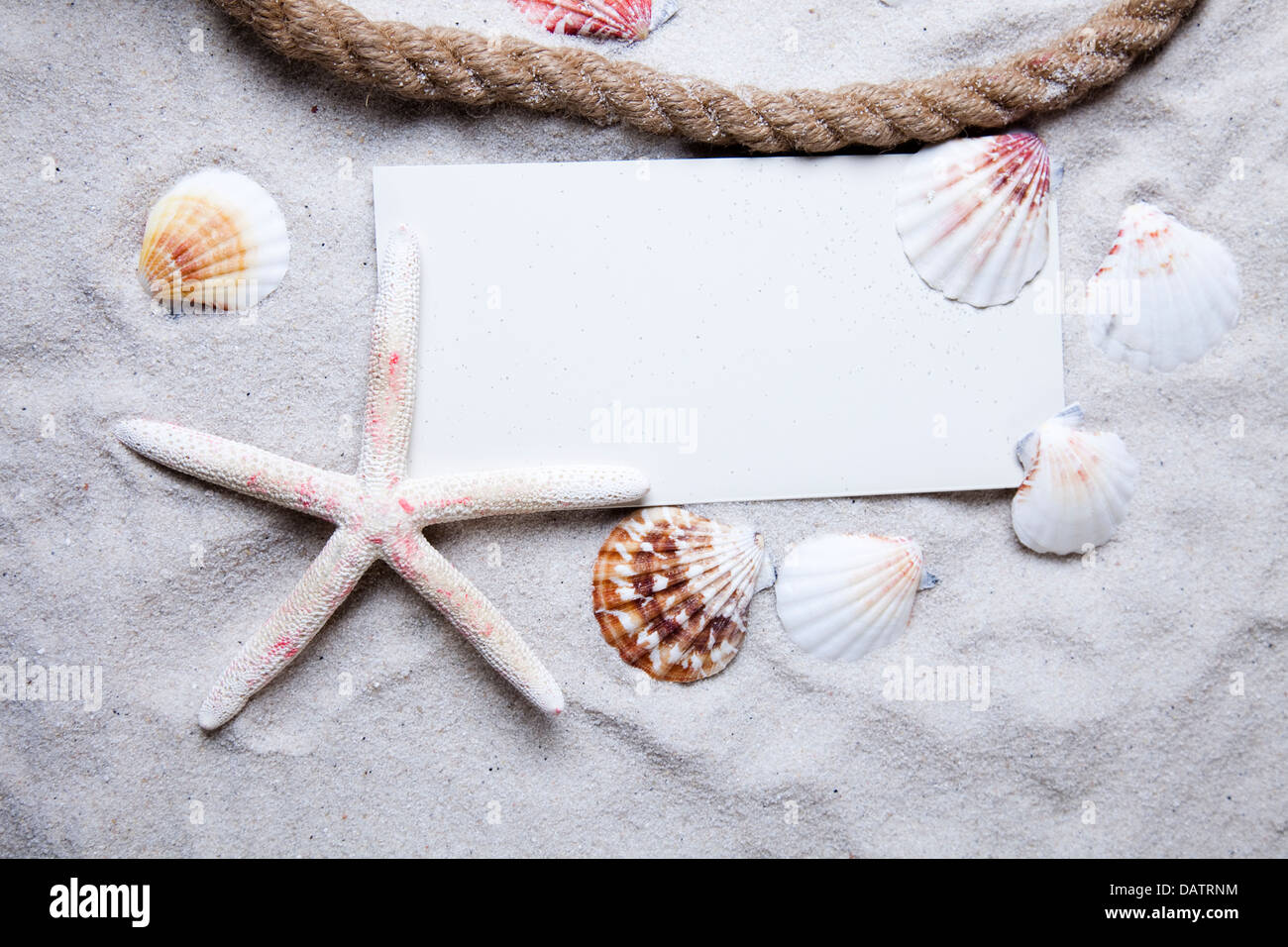 Sand and shell frame Stock Photo - Alamy