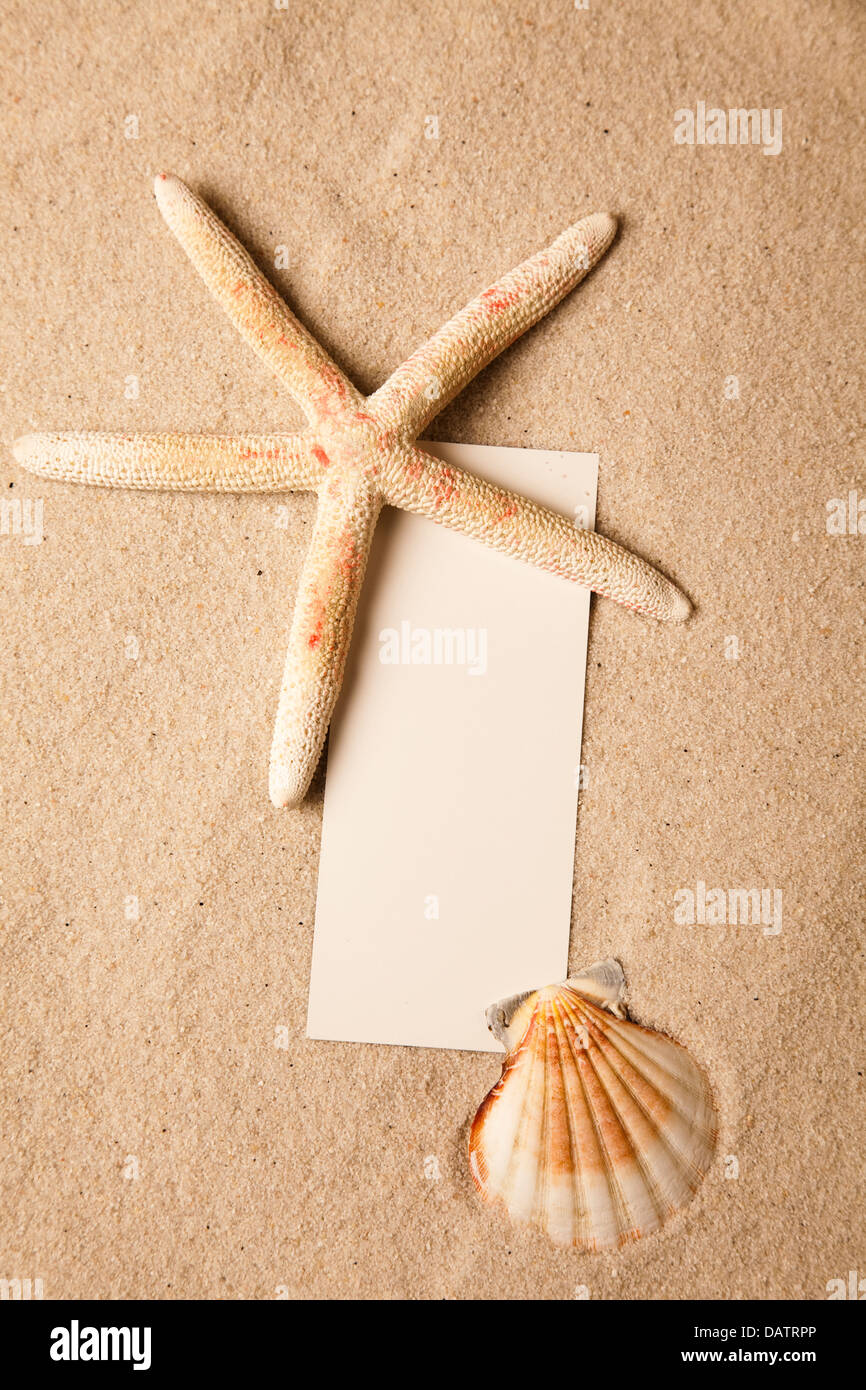 Paper background and shell Stock Photo - Alamy