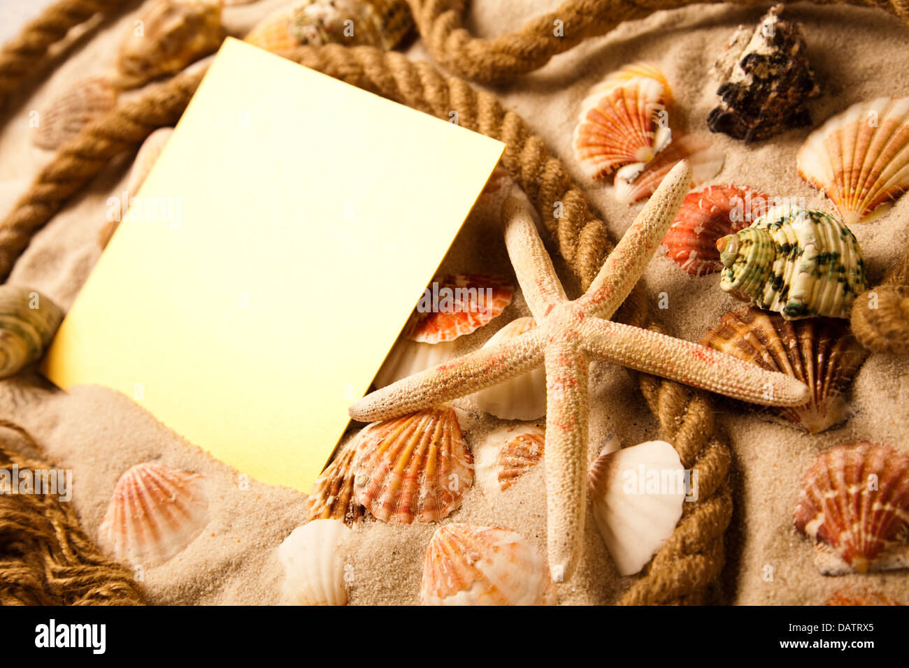 Messages between sands and shells Stock Photo - Alamy