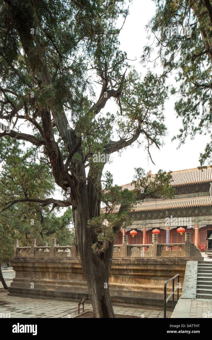 dai temple in china taishan ancient buildings was magnificent Stock Photo - Alamy