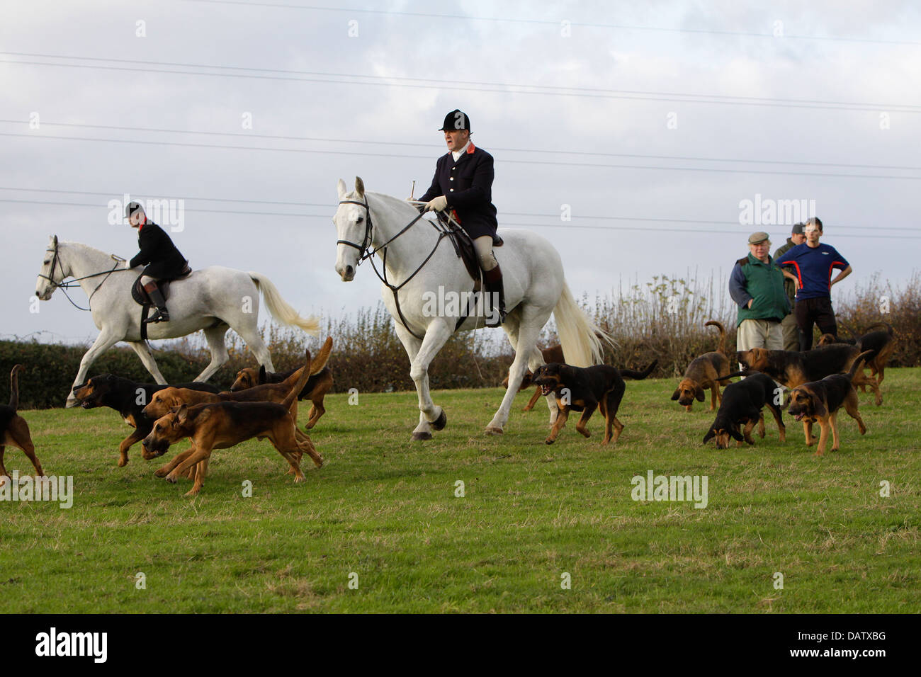 A Drag Hunt Bloodhounds and riders following a scent trail in the Peak ...