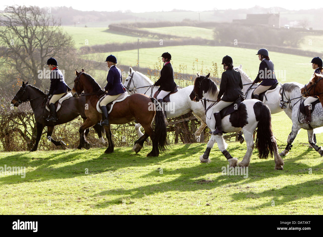 A Drag Hunt Bloodhounds and riders following a scent trail in the Peak ...