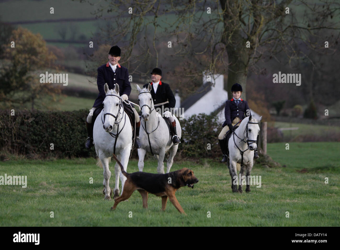 A Drag Hunt Bloodhounds and riders following a scent trail in the Peak ...