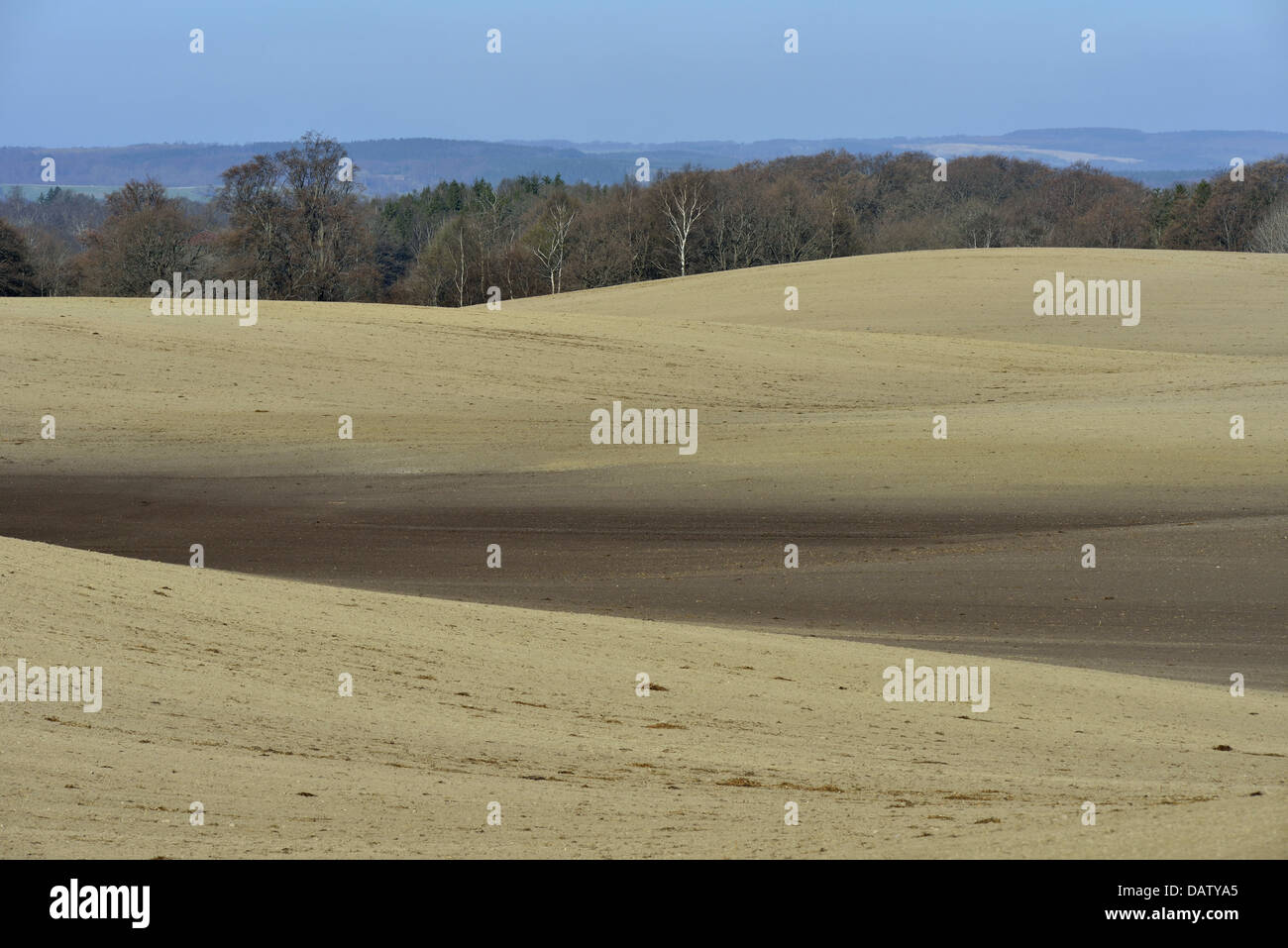 Open fields in front of deciduous forest Stock Photo - Alamy