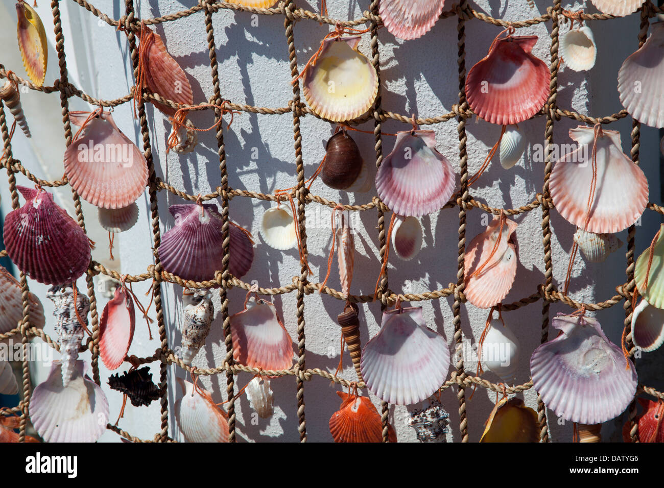 Oysters in art hi-res stock photography and images - Alamy