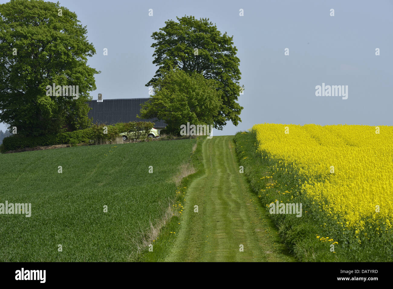 Landscape with country house, garden trees and open fields Stock Photo ...