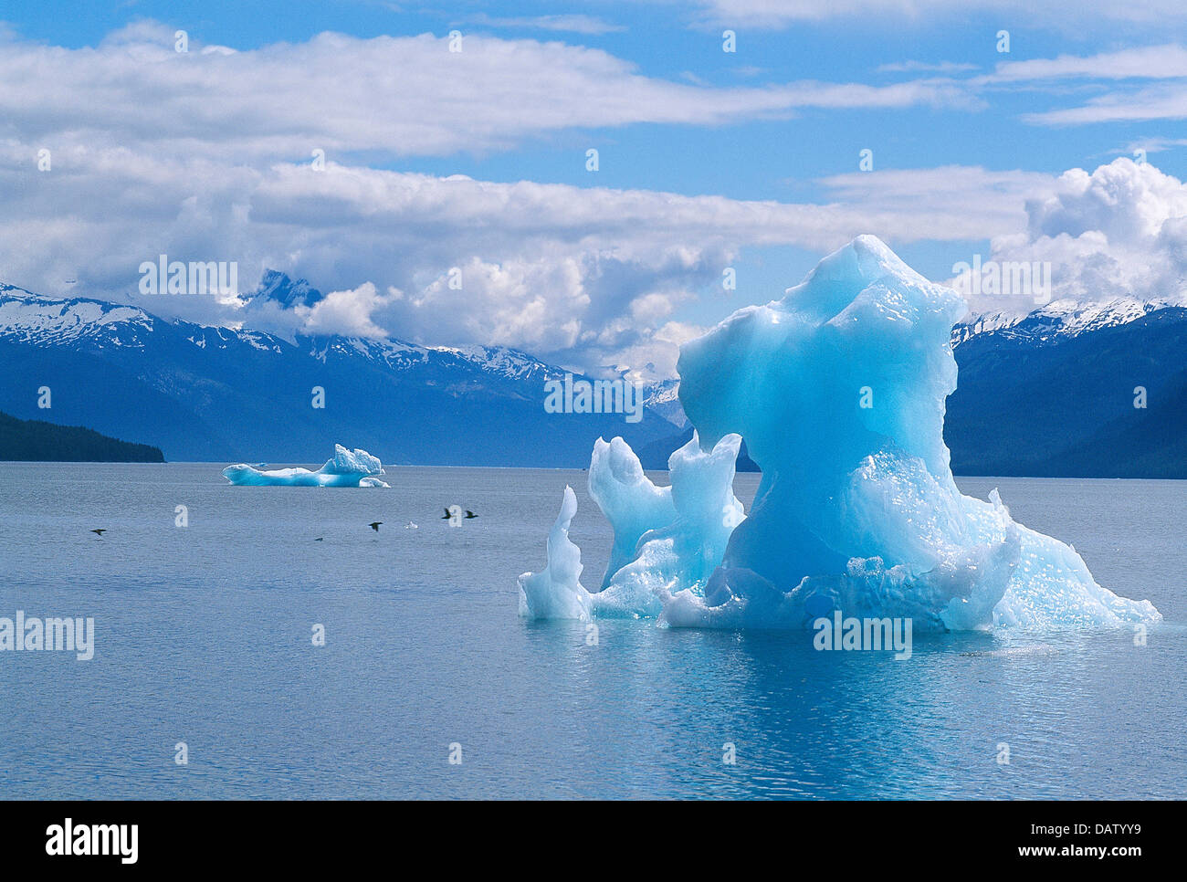 United States of America. Alaska. Holkham Bay. Wood Spit. Icebergs ...