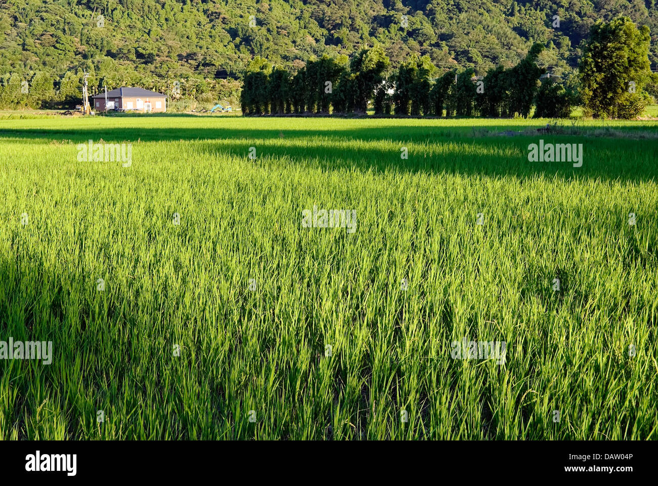 Idyllic scenery in country Stock Photo - Alamy