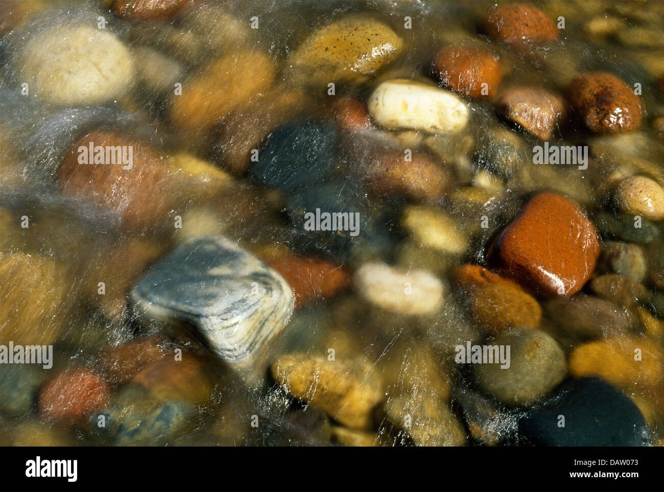 Different coloured pebbles in the water of the Olifants River ...
