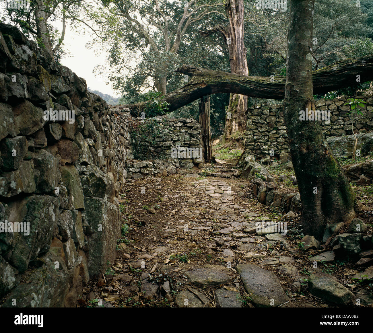 Mukumbane in Venda, old stone walls and footpath, South Africa Stock ...