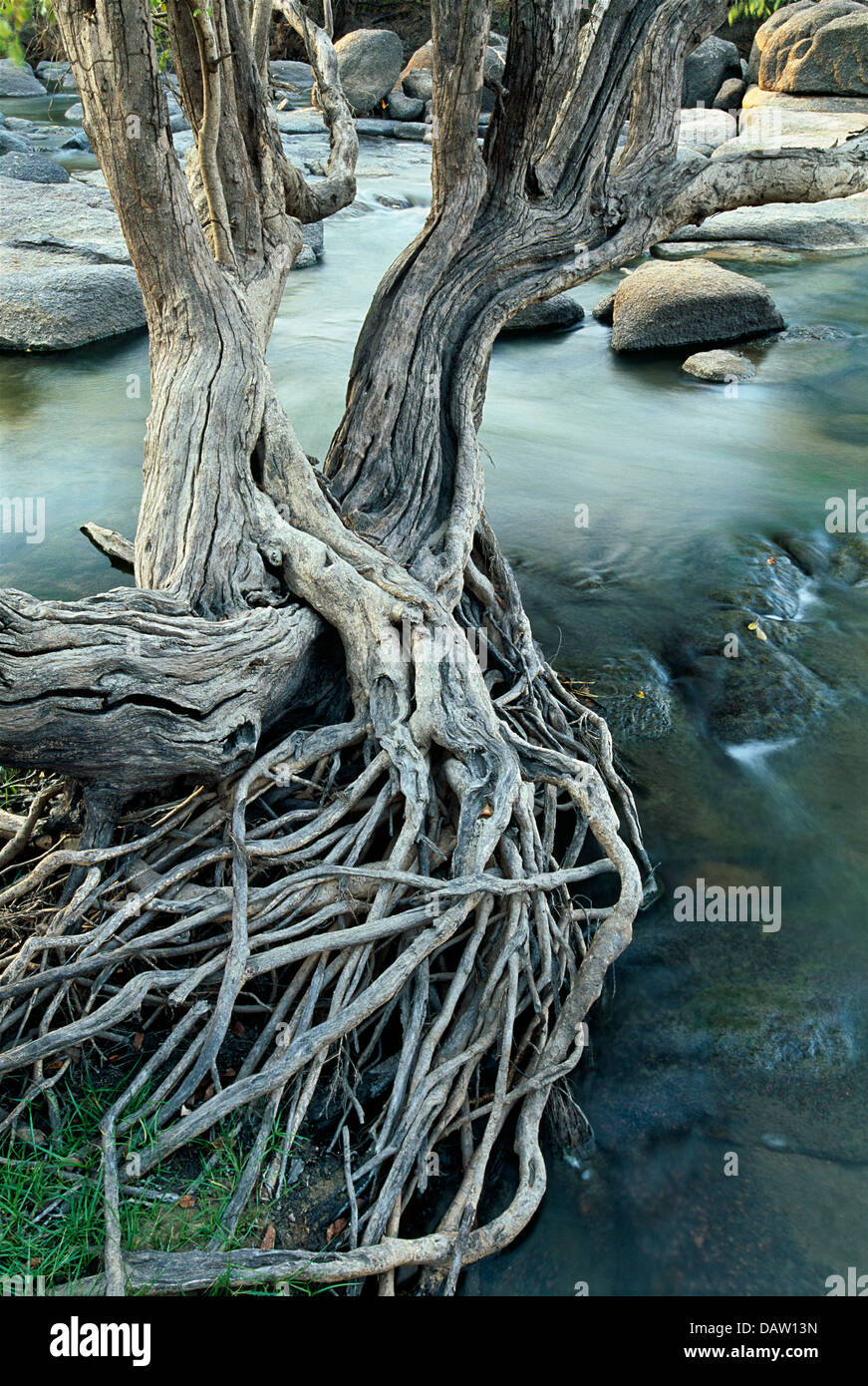 Kafue river hi-res stock photography and images - Alamy