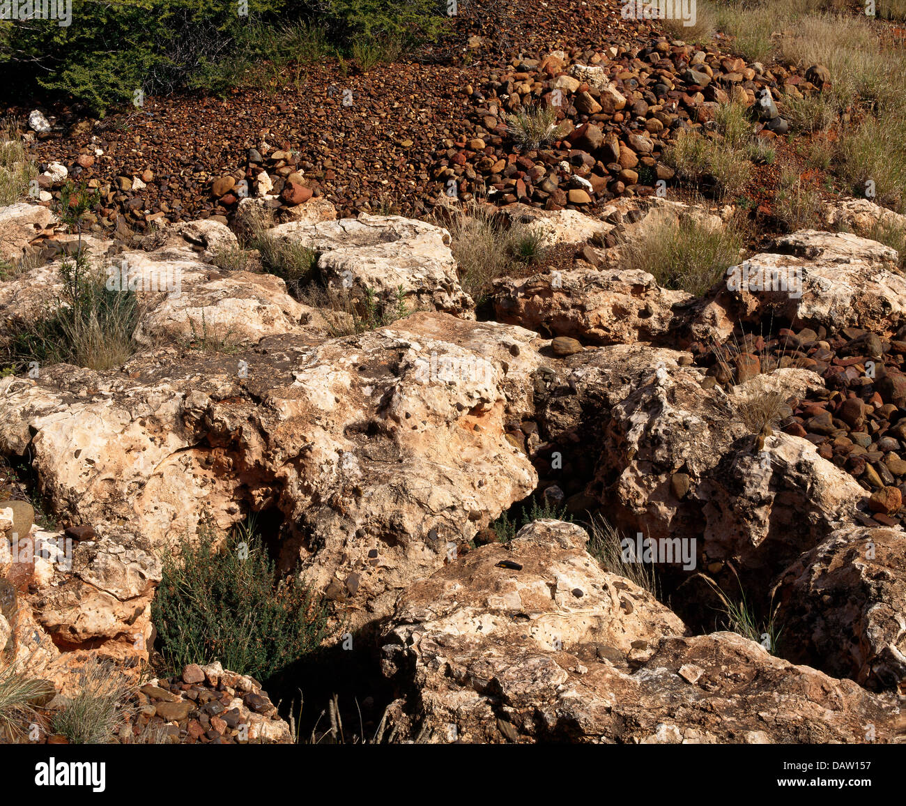 Diggings hi-res stock photography and images - Alamy