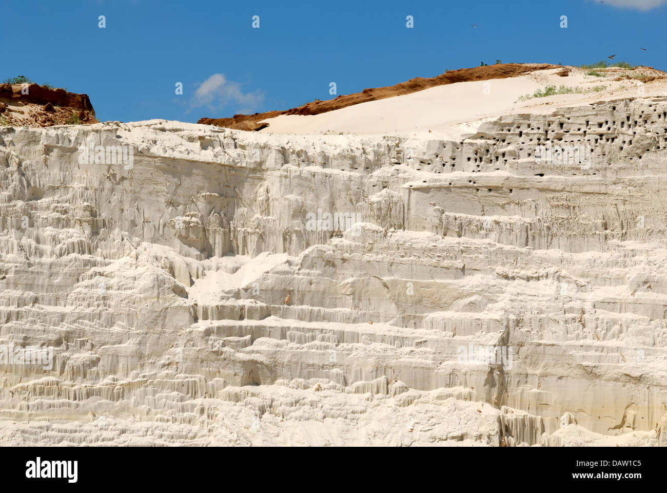 Sandy mountain with the bird's nests Stock Photo - Alamy