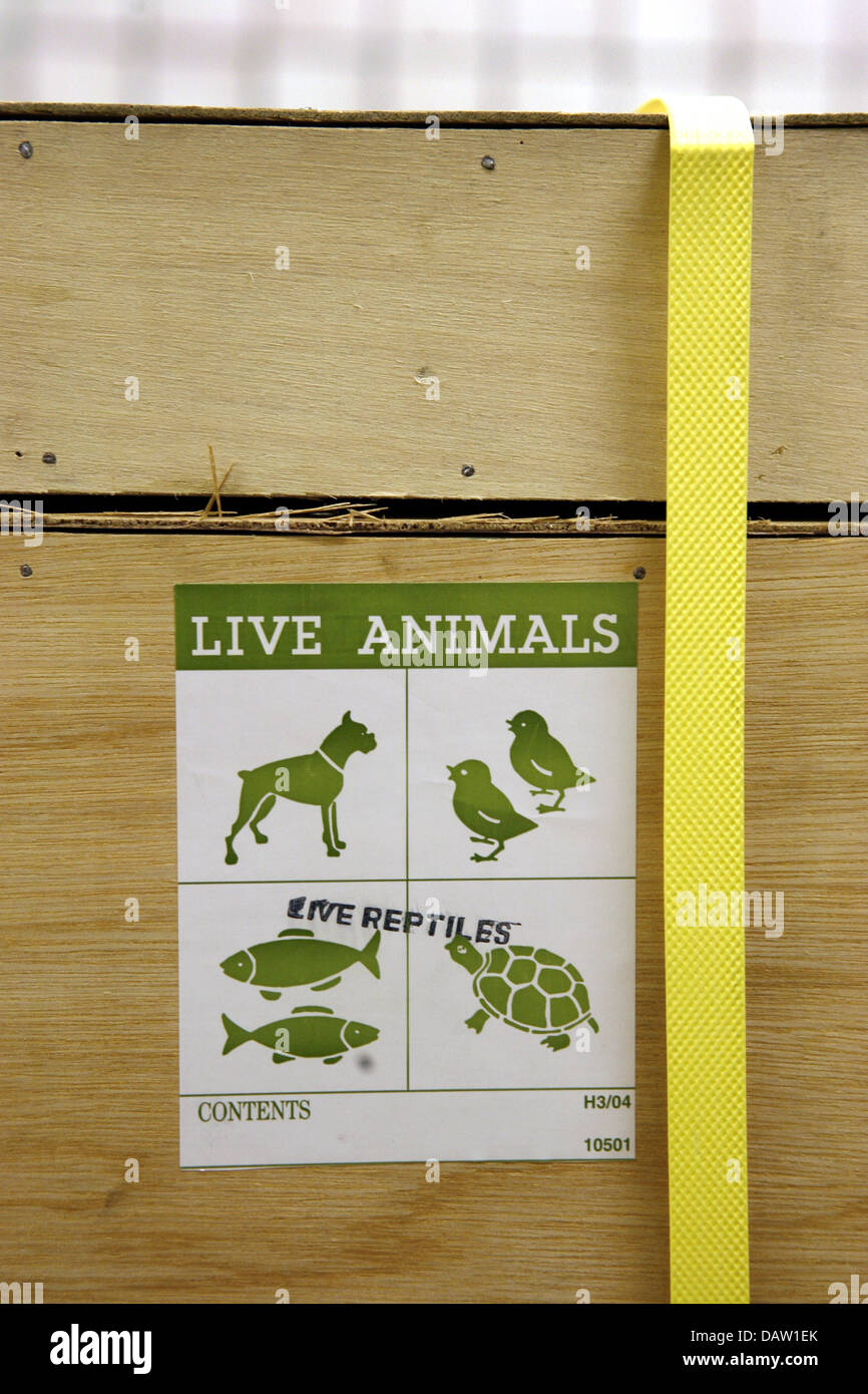 A sticker indicates on live animals in a box at the international ...